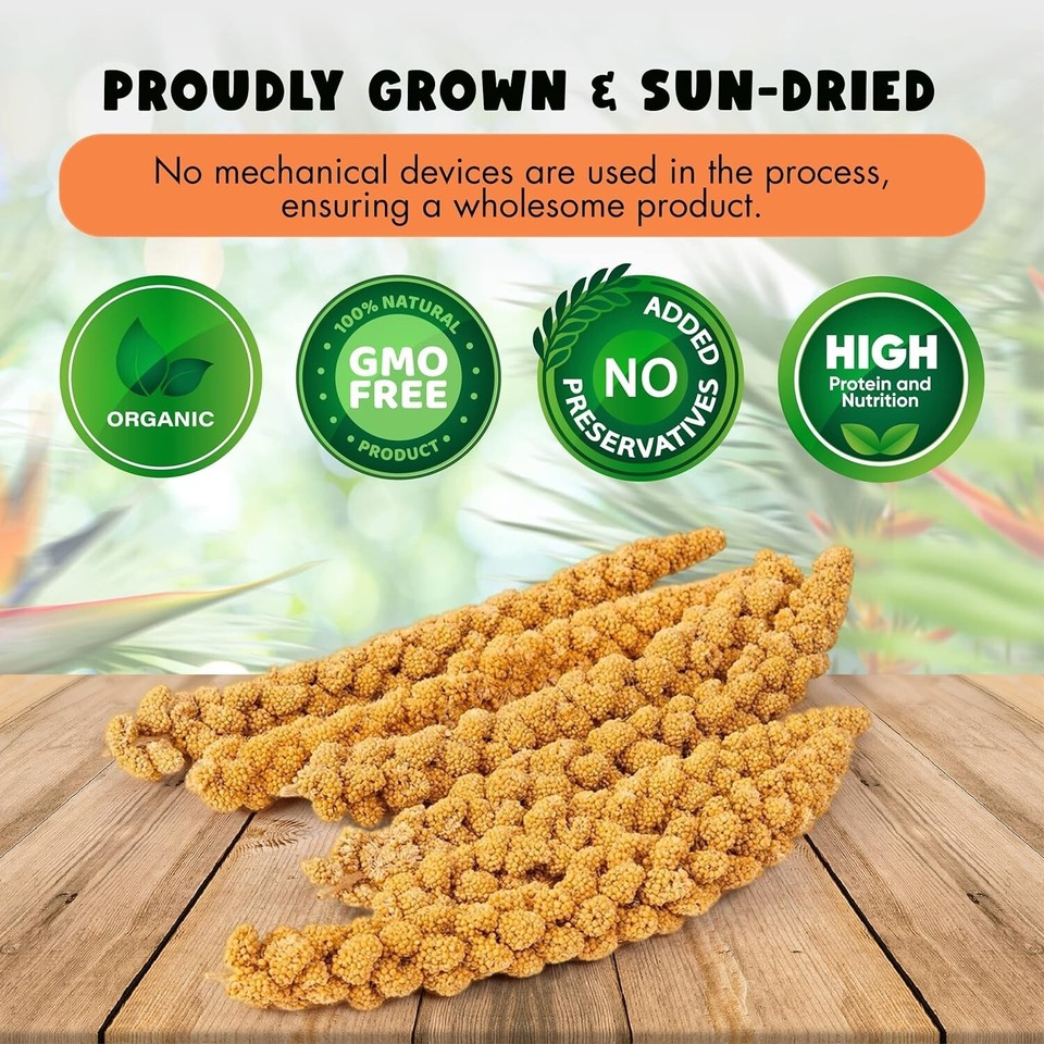 Vivlly 5LBS GMO-Free Sun Dried Spray Millet Original Bird Treat for ...
