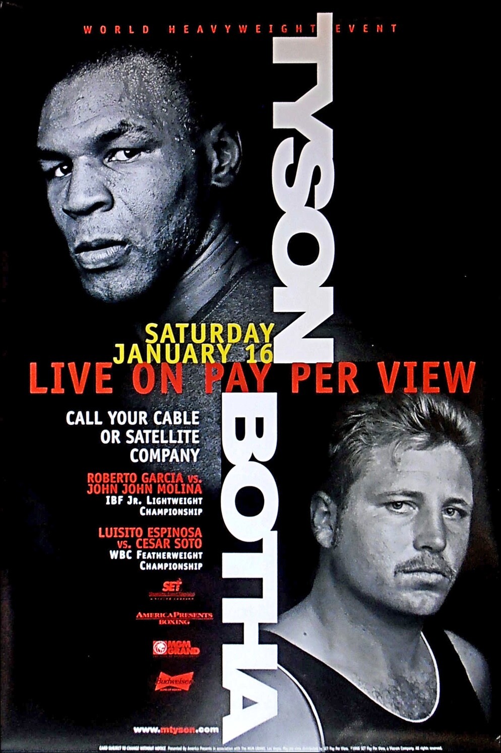 Vintage Original Iron Mike Tyson vs. Frans Botha Boxing Fight Poster | eBay