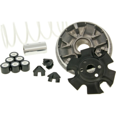 Variator Variomatik Malossi Multivar 2000 für CF Moto Urban, für ...