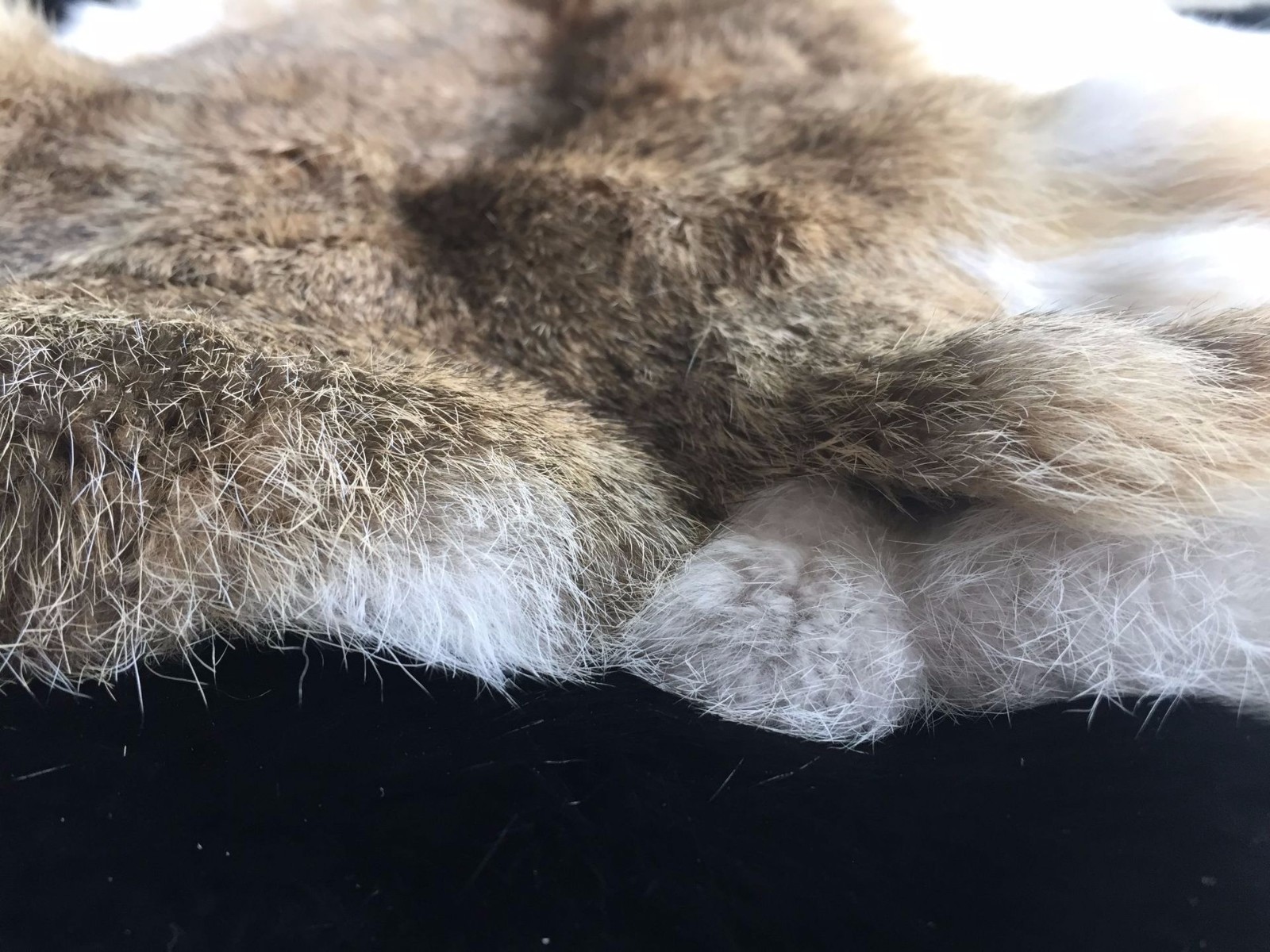 Real Rabbit Fur Blanket Rugr Pelt Throw Fur Blanket Carpet Cosy ...