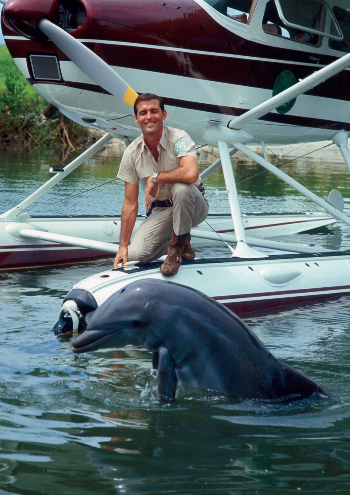 Flipper The Dolphin GREAT Colour Poster NEW | eBay UK