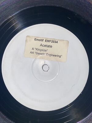 Acetate Kingsize / Genetic Engineering 12" Vinyl White Label Record ...