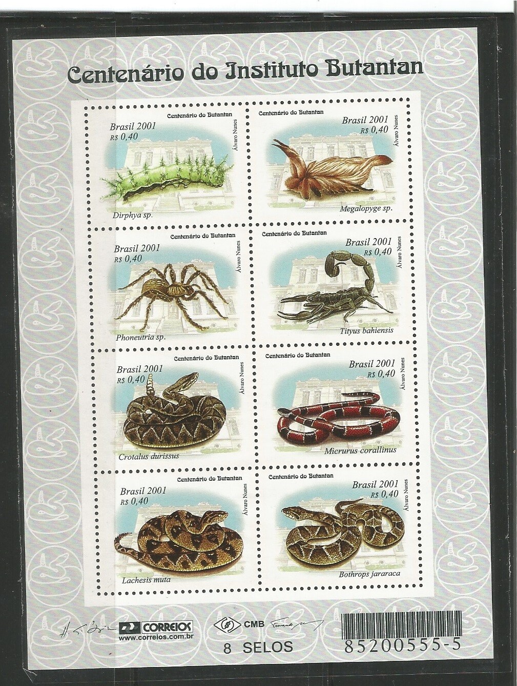 Snakes, scorpion, spider, caterpillar, jararaca, rattlesnake, Instituto ...