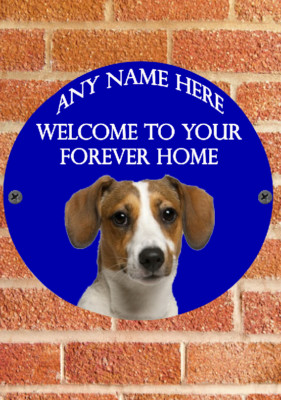 pnc729 Jack Russell Welcome to your forever home plaque personalised ...