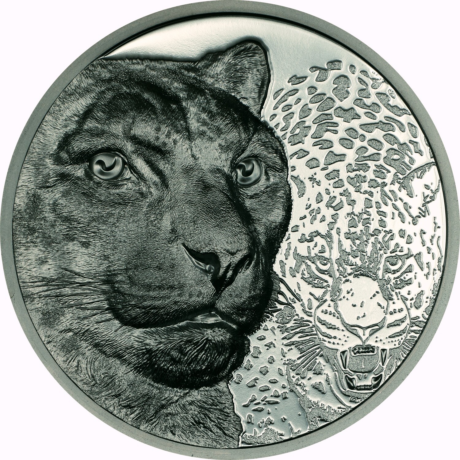 snow Leopard 2 oz Silver Black Proof Coin 2023 | eBay