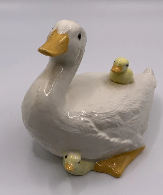 White Duck With Babies