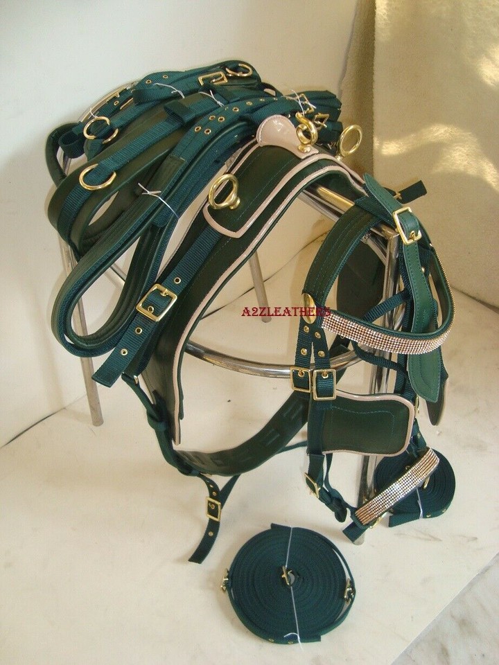 Stylish Dark Green Synthetic Nylon Driving harness Full Cob Pony Mini ...