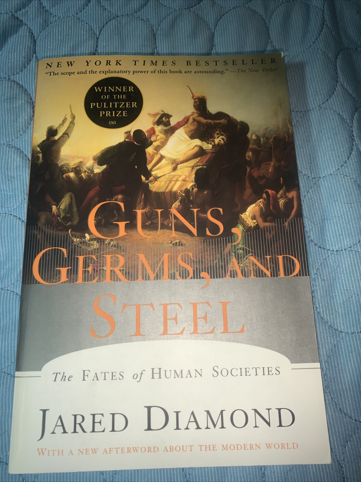 Guns, Germs, and Steel by Jared M. Diamond (1999, trade Paperback ...