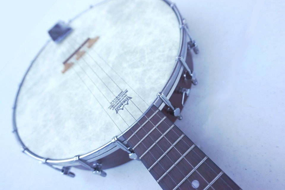 Rogue Open Back 5-String Banjo | eBay