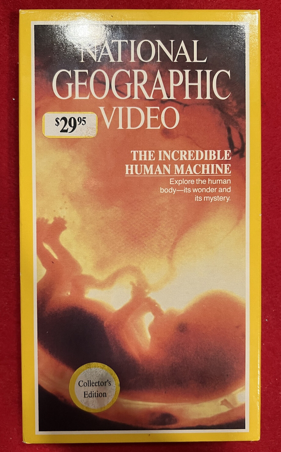 National Geographic Video - The Incredible Human Machine (VHS ...