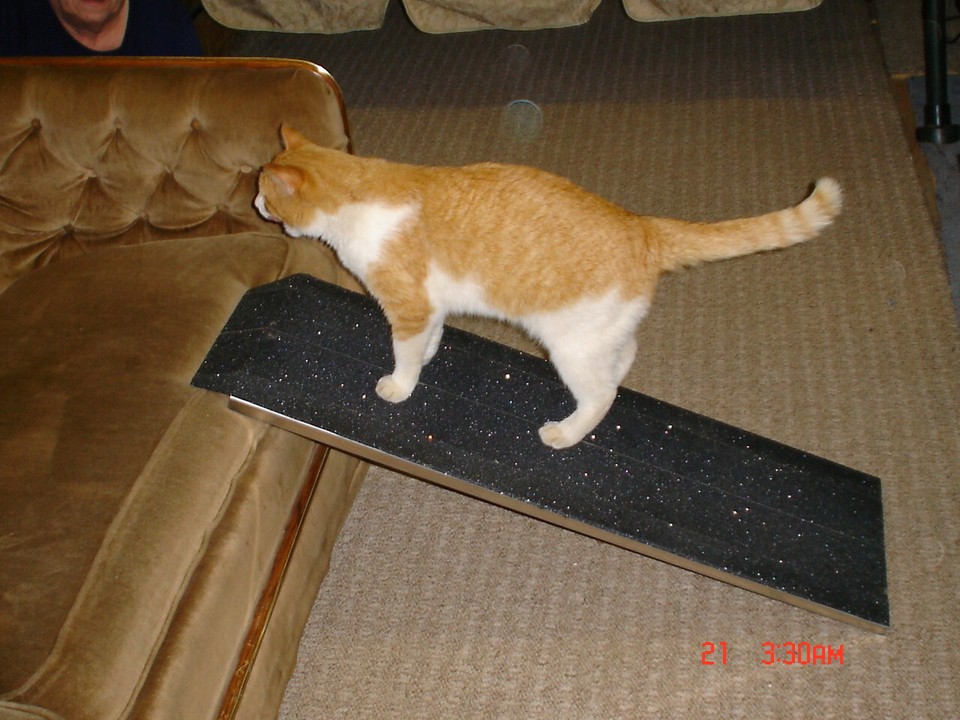 Aluminum Pet Ramp Dog Cat Portable 30" Long x 14" Wide with Non Slip ...