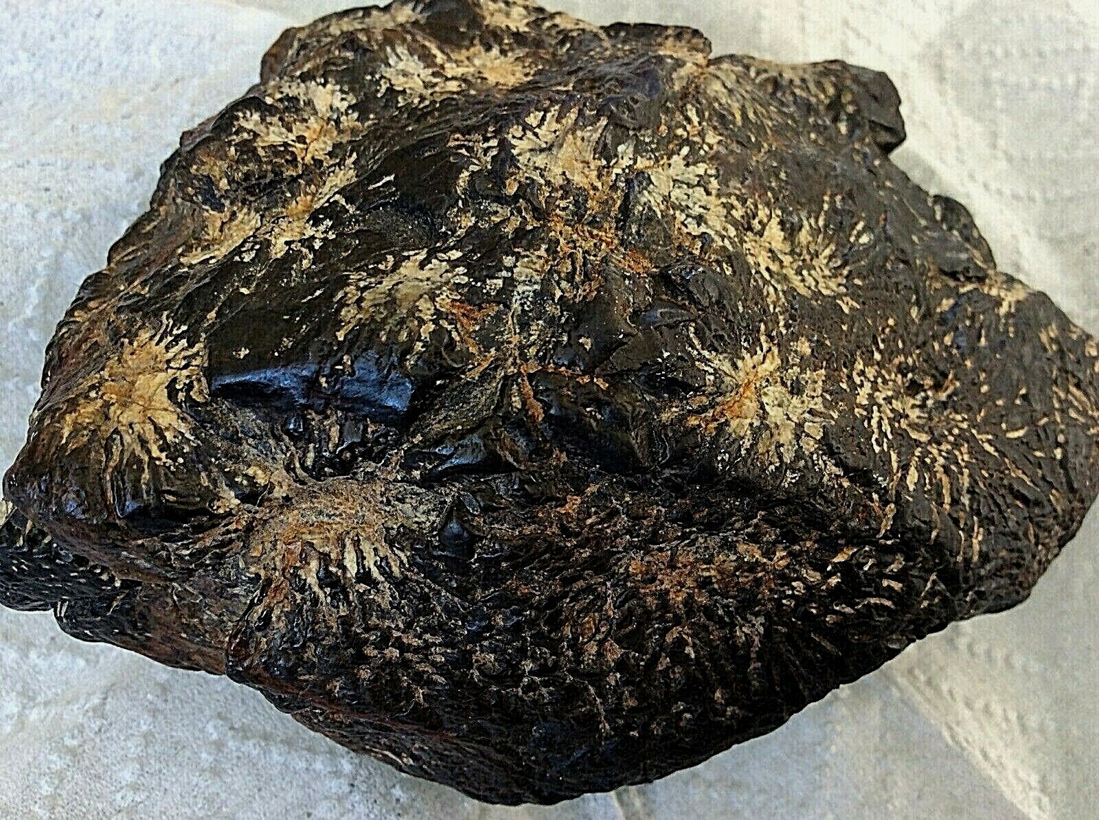 Meteorite Martian Shergottite , NWA2986 -345.17 Gr. w/ fusion crust ...