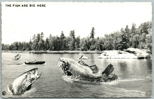 ESPANOLA ONT. CANADA EXAGGERATED FISHING VINTAGE REAL PHOTO POSTCARD ...