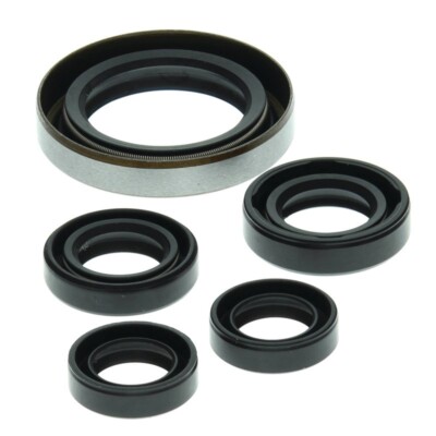 Engine Oil Seals Kit For Polaris Outlaw 500 (06-07), Predator 500 (03 ...