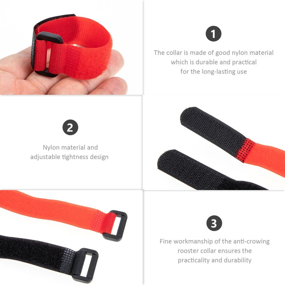 4 Pcs Noise-proof Collar Rooster Stop Crow Chicken Supplies No-crow ...