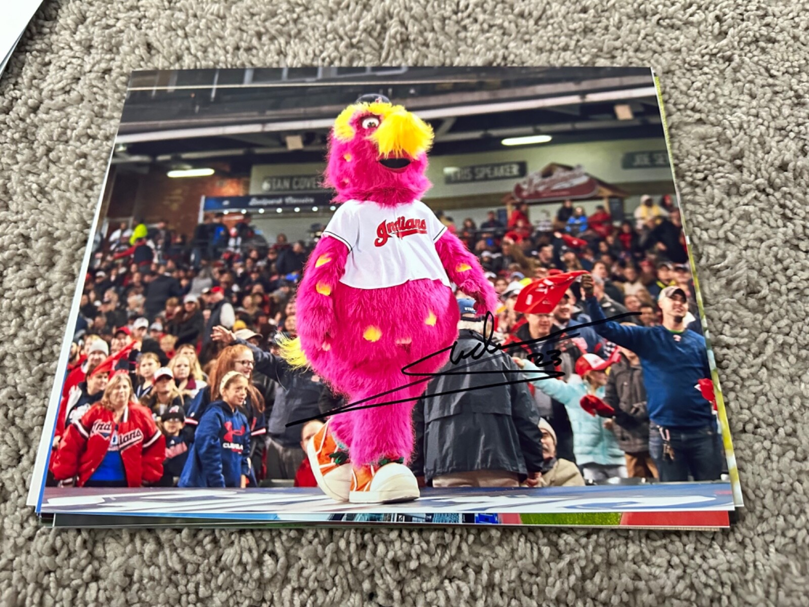 Cleveland Guardians h2 Slider Mascot signed MLB Baseball 8x10 photo B ...