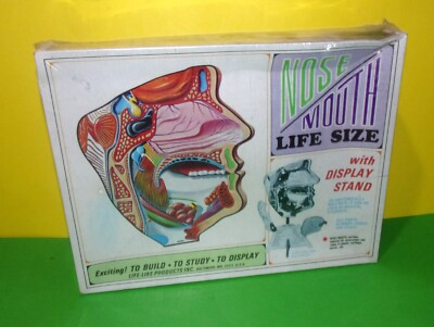 1970 Life Like Hobby Kits Human Nose Mouth Life Size Plastic Model Kit ...