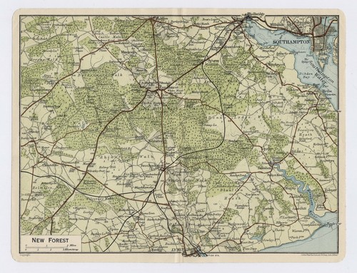 1924 ORIGINAL VINTAGE MAP OF THE NEW FOREST SOUTHAMPTON / ENGLAND | eBay UK