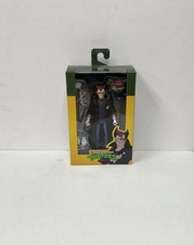 Teenage Mutant Ninja Turtles NECA Scrag (Cartoon)