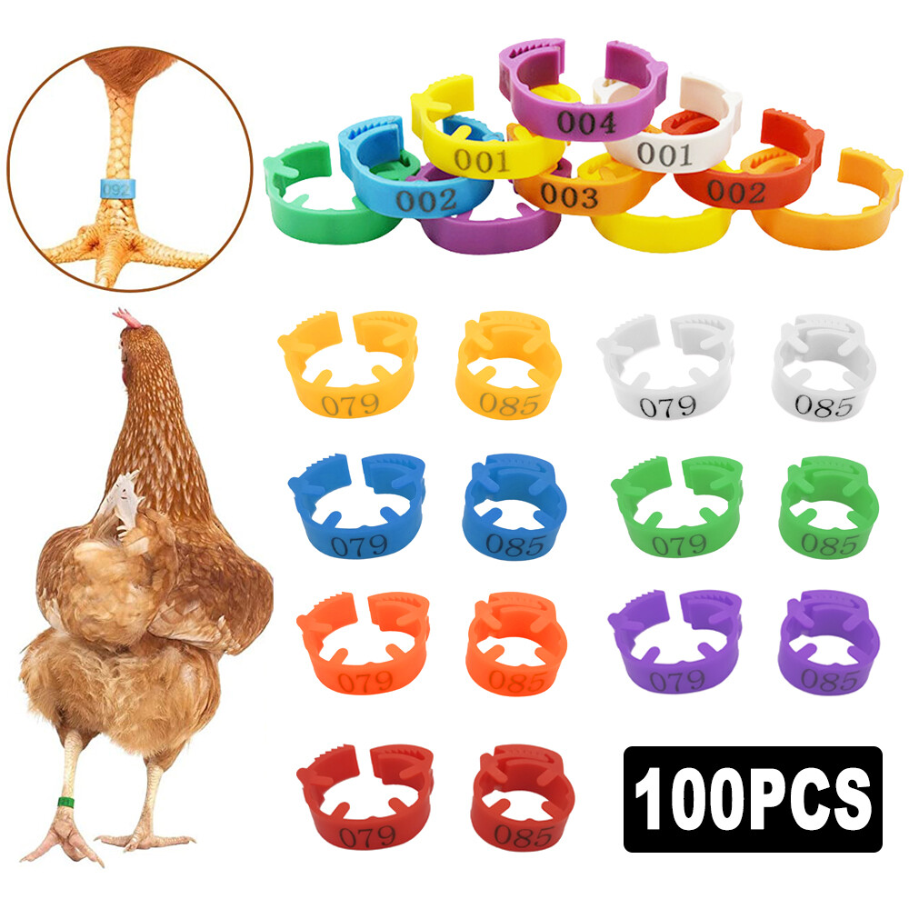 Bird Identification Rings 100-Piece Poultry Leg Bands - Chicken ...