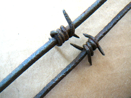 GLIDDEN'S FOUR POINT BARB on LARGE TRIANGLE SHAPED LINE - ANTIQUE ...