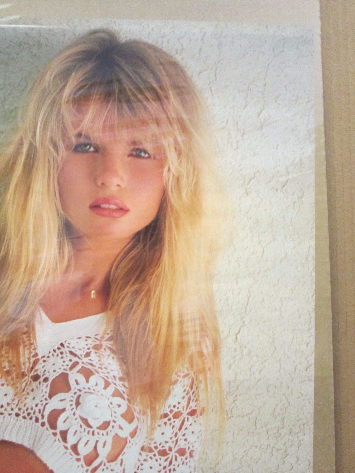 Vintage 1990 Playboy Cyndi Pass original hot girl model poster 11983 | eBay