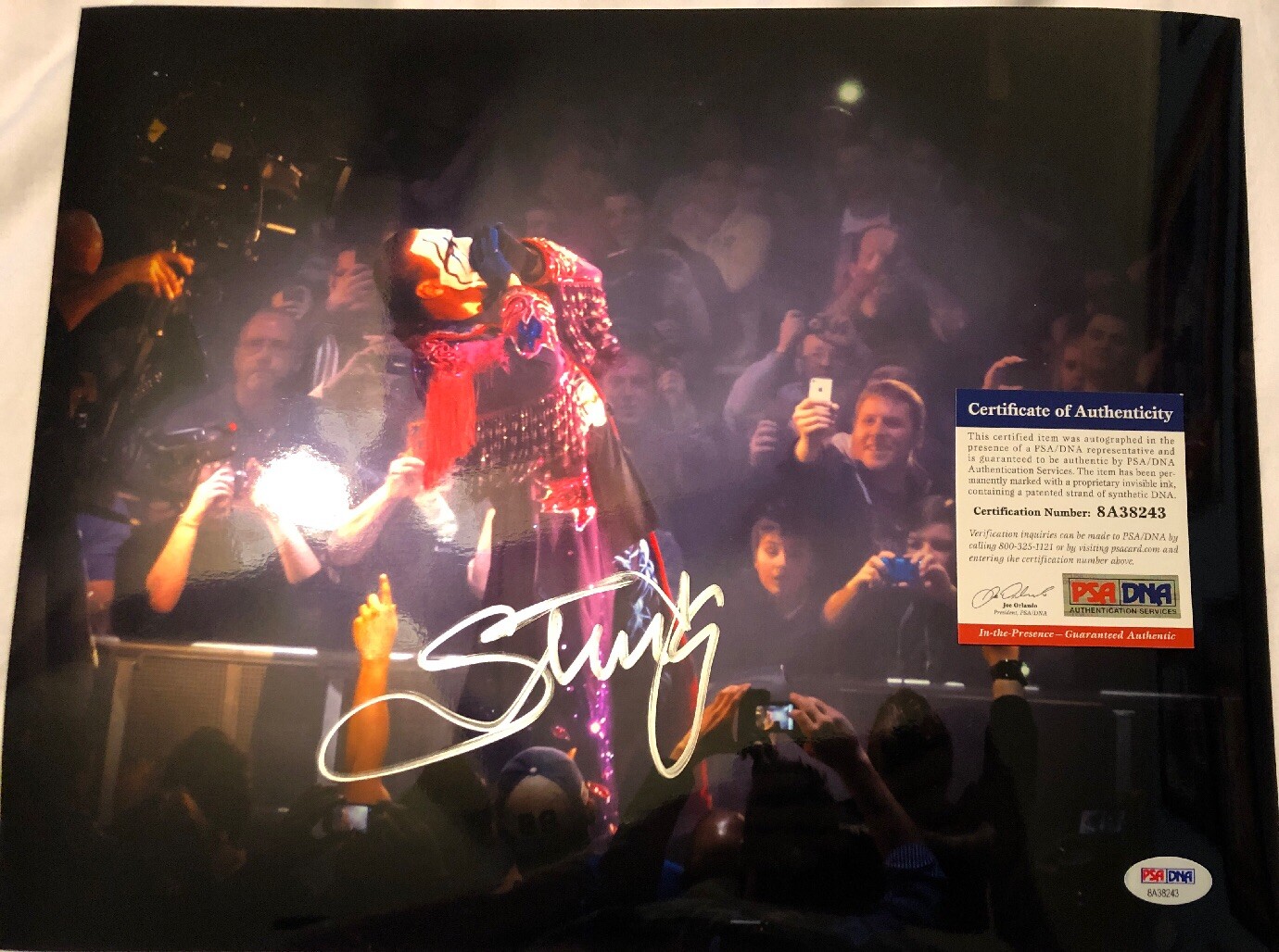 STING WCW WWE SIGNED AUTOGRAPH 11X14 PHOTO W/ PROOF PSA DNA COA | eBay
