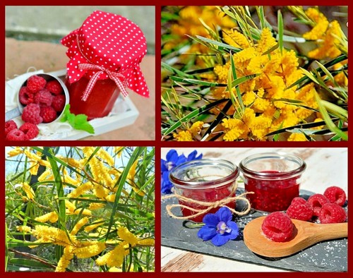 20 X ACACIA ACUMINATA SEEDS,JAM WATTLE,Bush Tucker,Flowers,Garden ...
