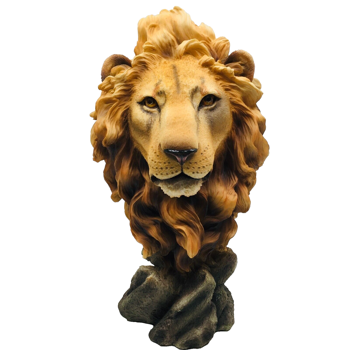 Realistic Lions Head