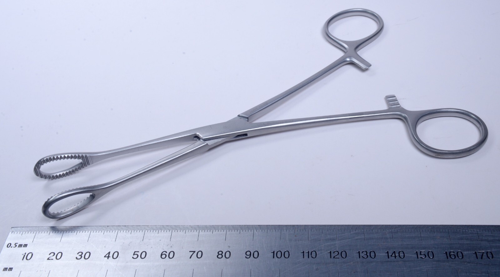 Set of 3 Jarit 114-102 Foerster Sponge Holding Forceps 7" Straight ...