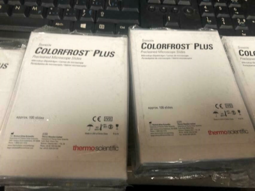 200 Shandon Colorfrost Plus Microscope Slides * Thermo Scientific ...
