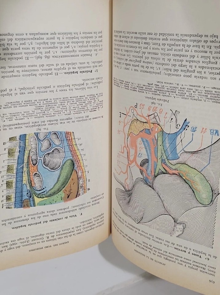 Tratado De Anatomia Humana by L. TESTUT - A. LATARJET (4) Volume Set ...