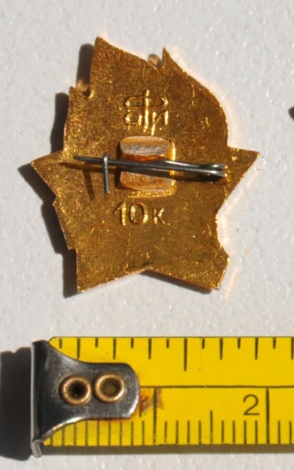 RUSSIAN SOVIET PIONER LENIN PIN AWARD BADGE ORDER RED GOLD STAR ...