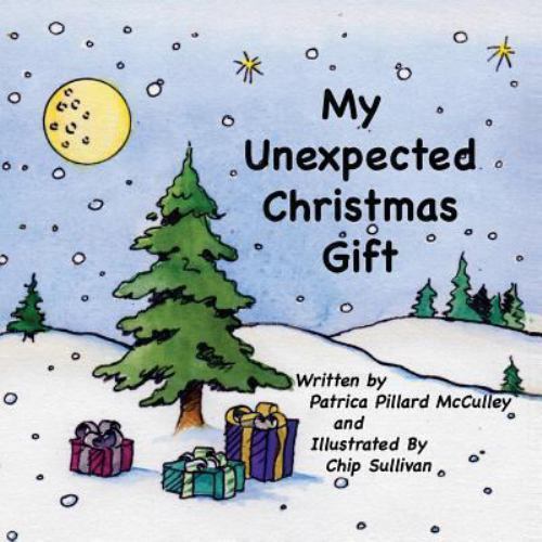 My Unexpected Christmas Gift by Chip Sullivan (2013, Trade Paperback ...