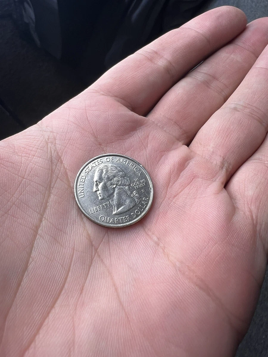 Back Of Quarter Coin