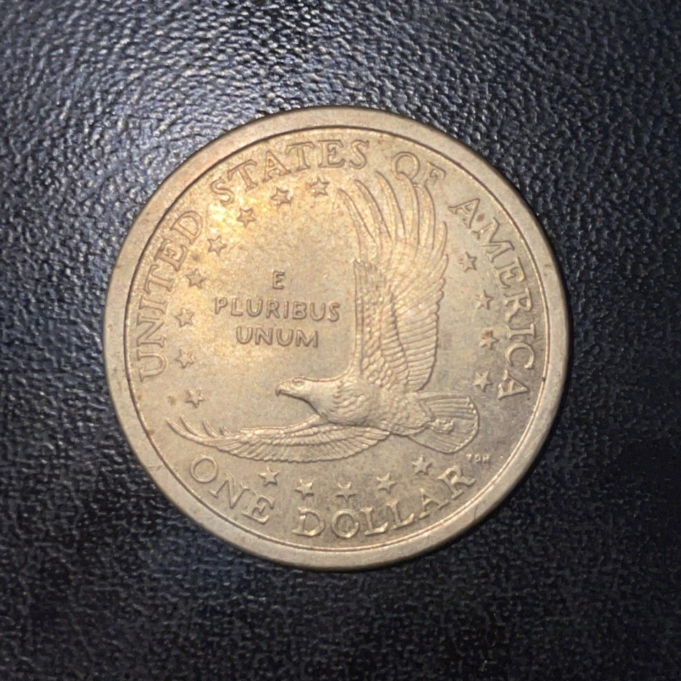 SUPER RARE NATIVE AMERICAN DOLLAR COIN YEAR 2000 | eBay