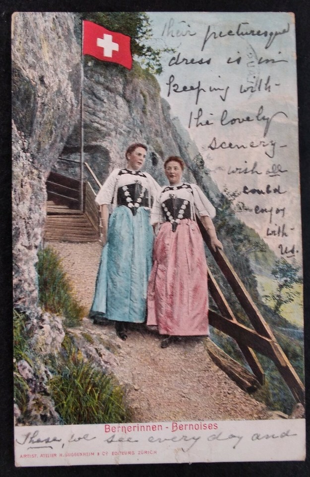 Bern Switzerland Postcard Early 1900s Antique Color Bernoises Alps ...