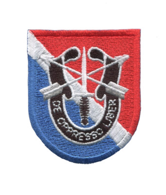 11th Special Forces Group Flash Patch With Crest | eBay