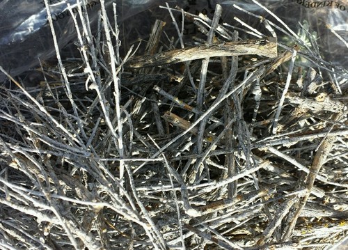 Woodland, Forest Scenic Dead Fall Trees, Logs, HO Scale Model Railroad ...