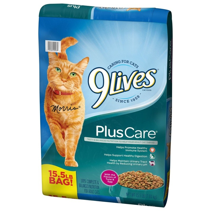Plus Care Cat Food Dry Kibble Tuna Egg Urinary Immune Digestive Support ...