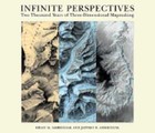 Infinite Perspectives: Two Thousand Years of Three-Dimensional ...