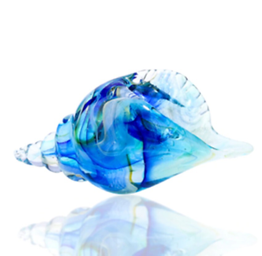 Sea Shells Home Office Bookshelf Decors Hand Blown Sculpture Large ...