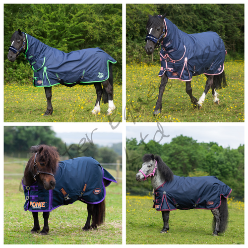 Gallop PONIE Miniature, Shetland Pony Turnout Rugs, No Fill, 50g, 100g ...