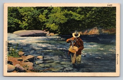 Vintage Pennsylvania Fly Fishing Postcard by U.S. Forest Service S-450 ...