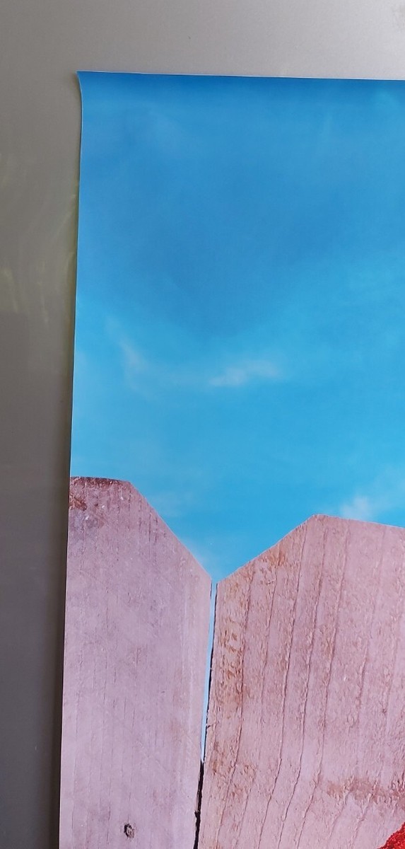 Bad Neighbors Movie Poster