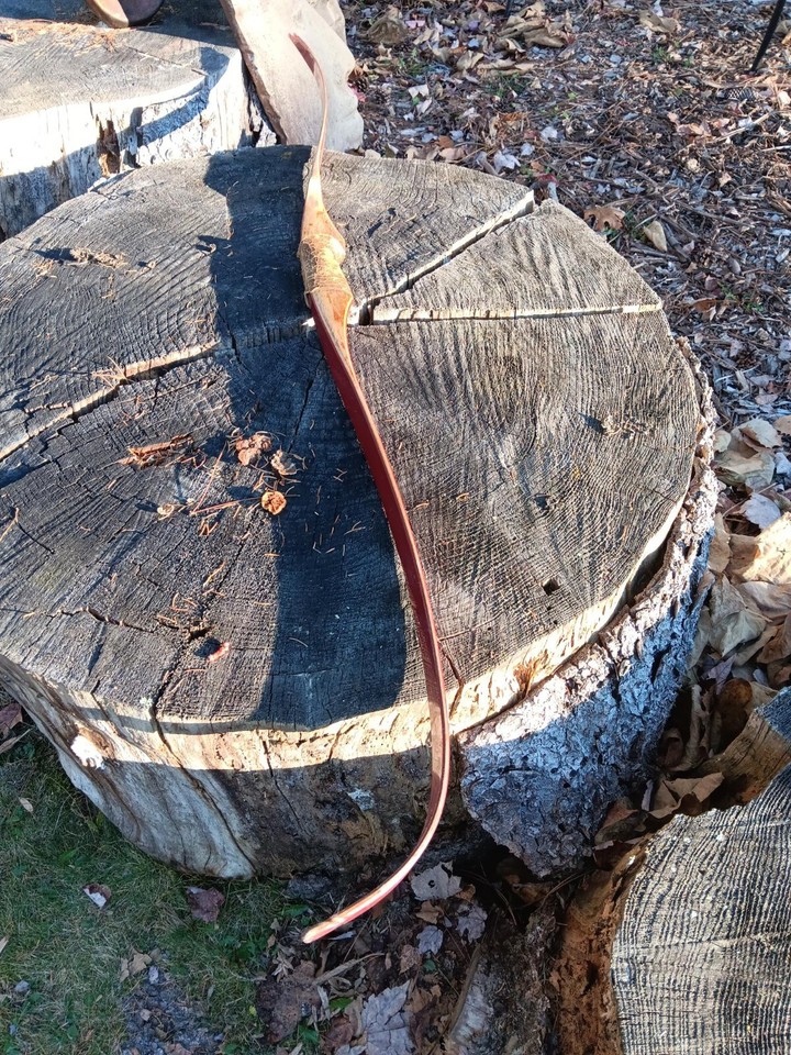 Ancient Damon Howatt Archery Mamba Hi Speed recurve Wallhanger | eBay