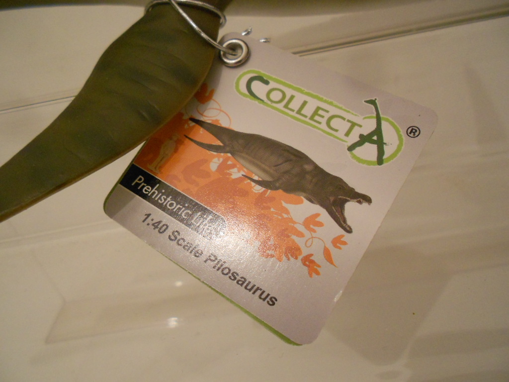 Pliosaurus Dinosaur 1:40 Scale Deluxe Toy Model Figure by CollectA ...