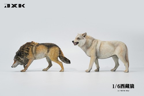 JXK 1:6 Scale Tibetan Wolf Model Animal Scene Decor Collection Soldier ...