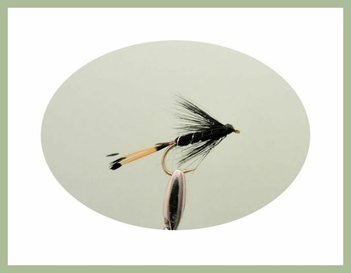 Loch Fishing Flies, 32 Boxed set popular Loch Wet Flies, Mixed 8/10/12 ...