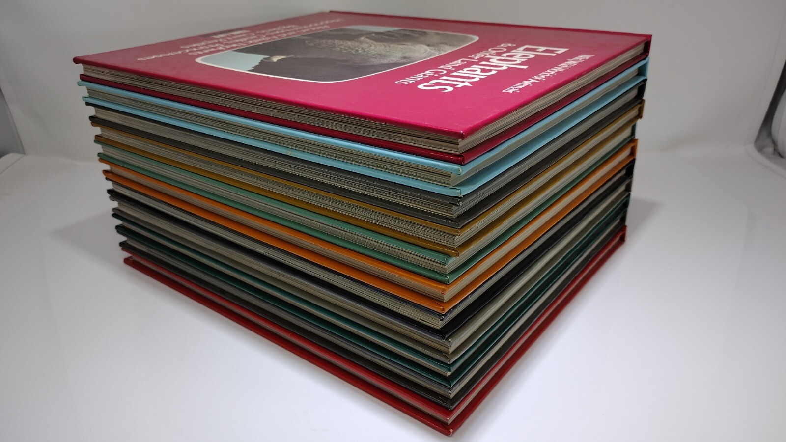 Lot of 11 Volumes Wild, Wild World of Animals Time Life Television 1977 ...